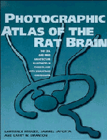 Photographic atlas rat brain cell and fiber architecture illustrated ...